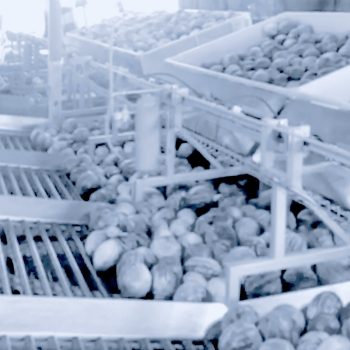Fresh Produce Handling Products - Exeter Engineering