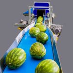 AccuVision XXL – Exeter Engineering